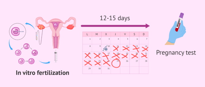 What to do while waiting for the IVF or two week wait result?