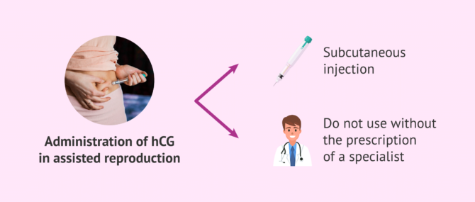 hCG administration for assisted reproduction techniques