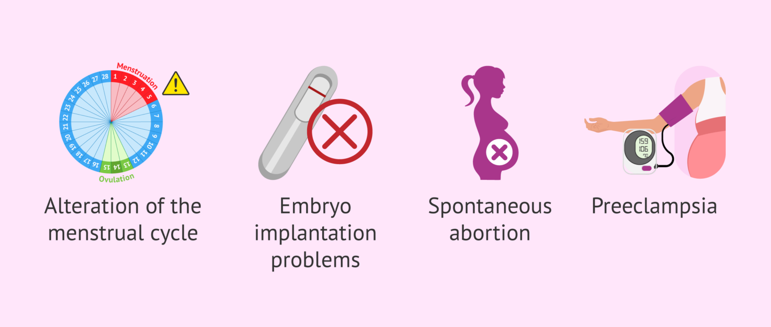 Hyperthyroidism and its effects on male and female fertility