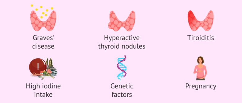Hyperthyroidism and its effects on male and female fertility