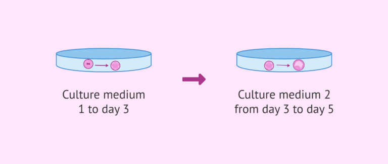 What does sequential embryo culture look like?