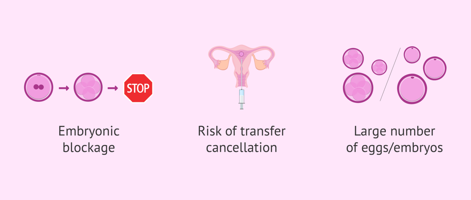 Limitations of long embryo culture