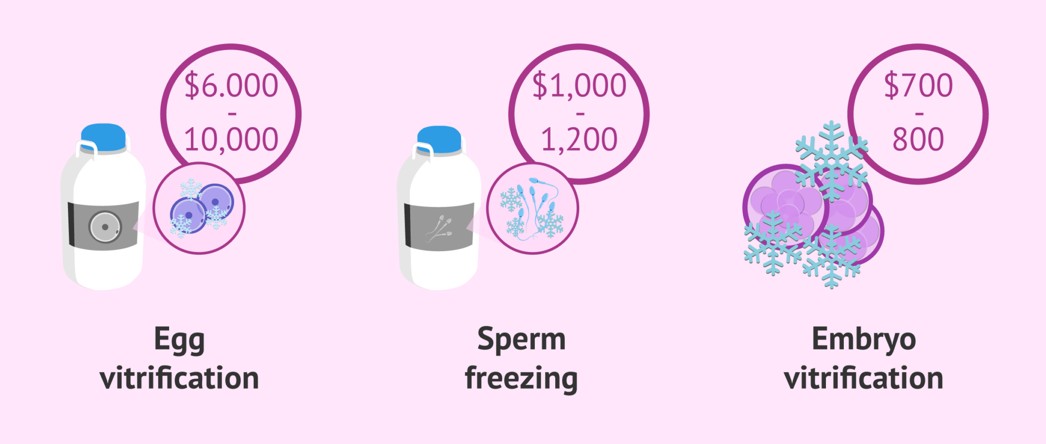 Cryopreservation & Vitrification of Embryos, Sperm & Eggs
