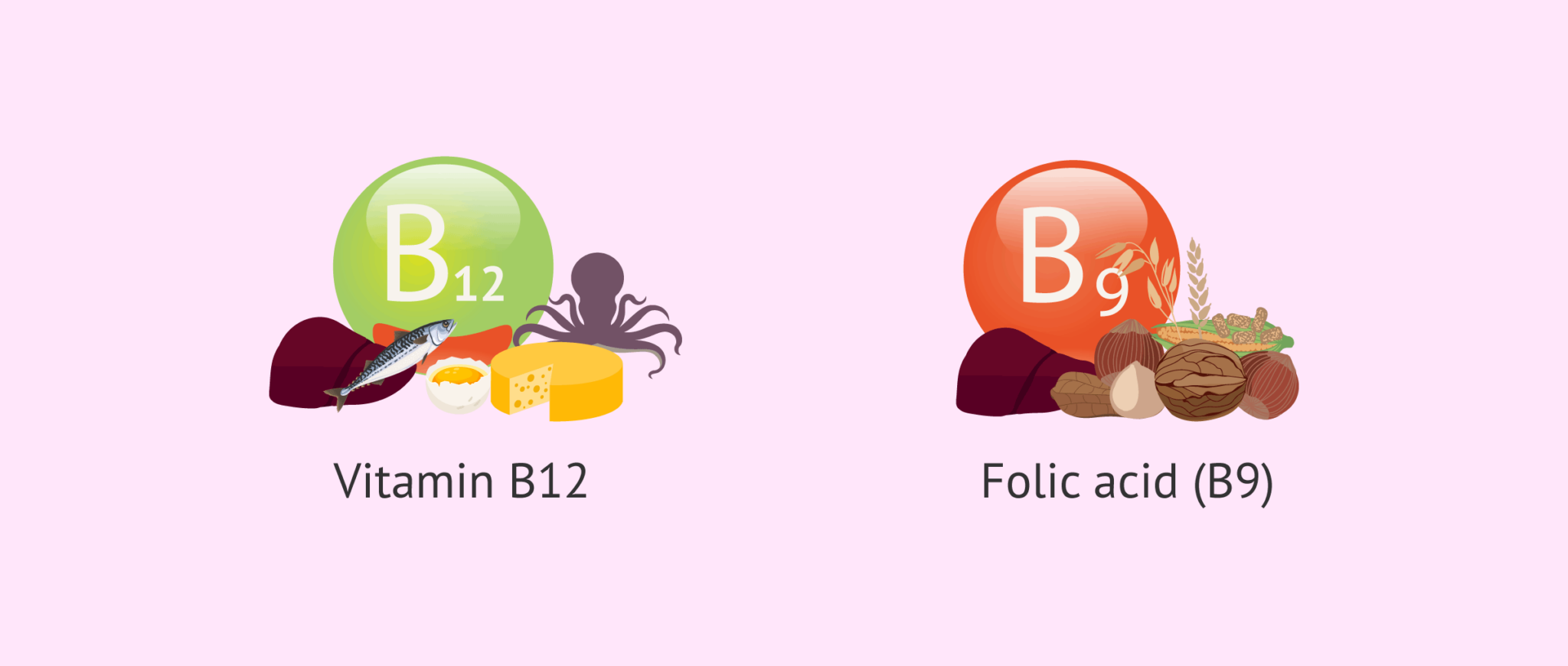 Foods High In Vitamin B12 And Folic Acid at Raymond Irwin blog