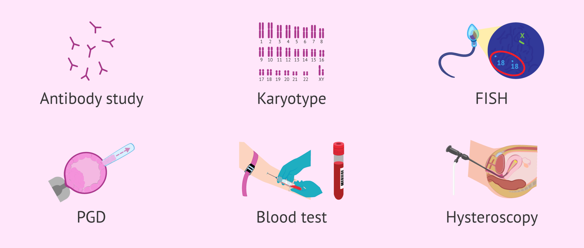 What Tests Are Done In Cases Of Repeated Miscarriages what-tests-are-done-in-cases-of-repeated-miscarriages