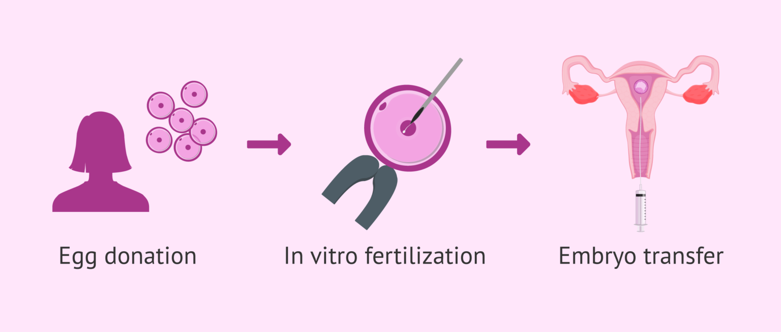 What is embryo donation and adoption ? When is it recommended?