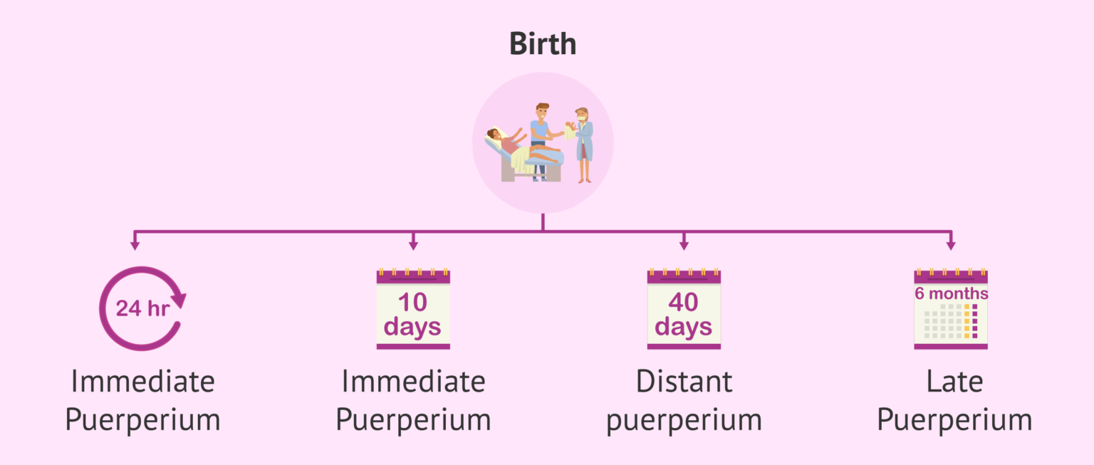 Stages of the puerperium