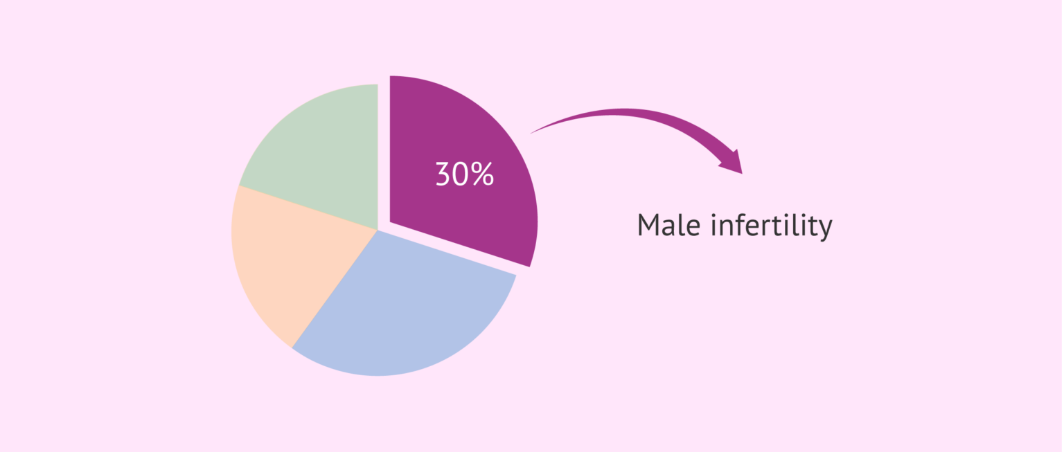 30% of fertility problems are of male origin