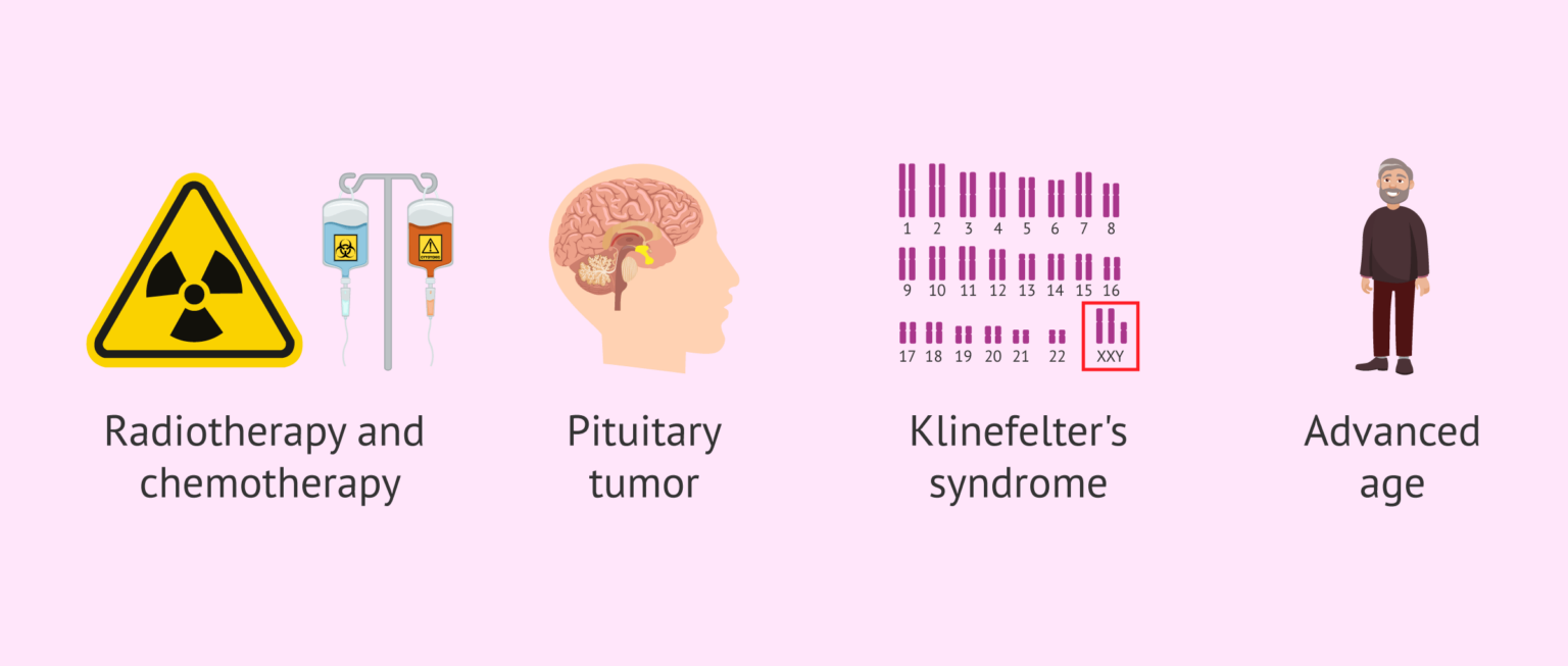 FSH hormone: what are its functions and normal values?
