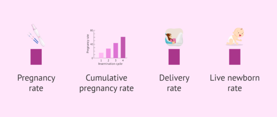 Different types of AI success rates