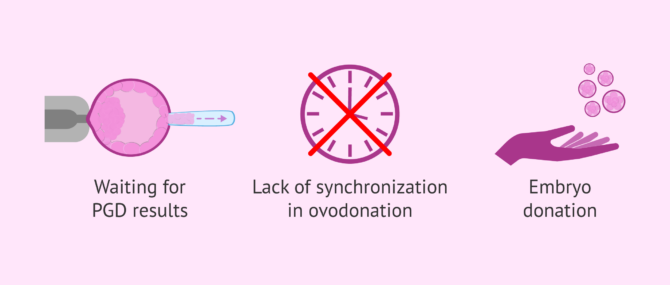 What is embryo vitrification? How and when is this procedure used?