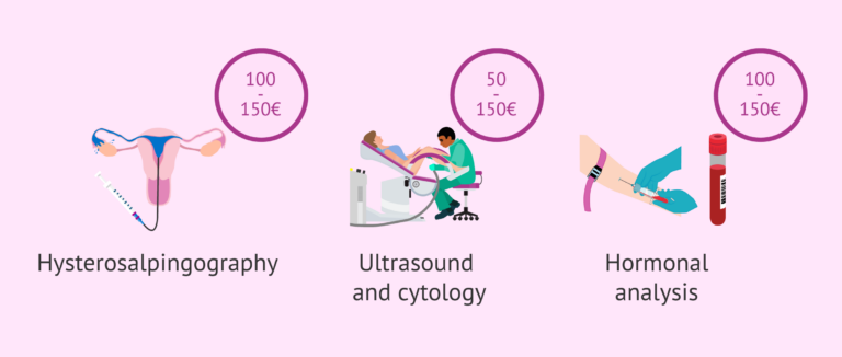 What does the fertility study consist of? What fertility tests are ...