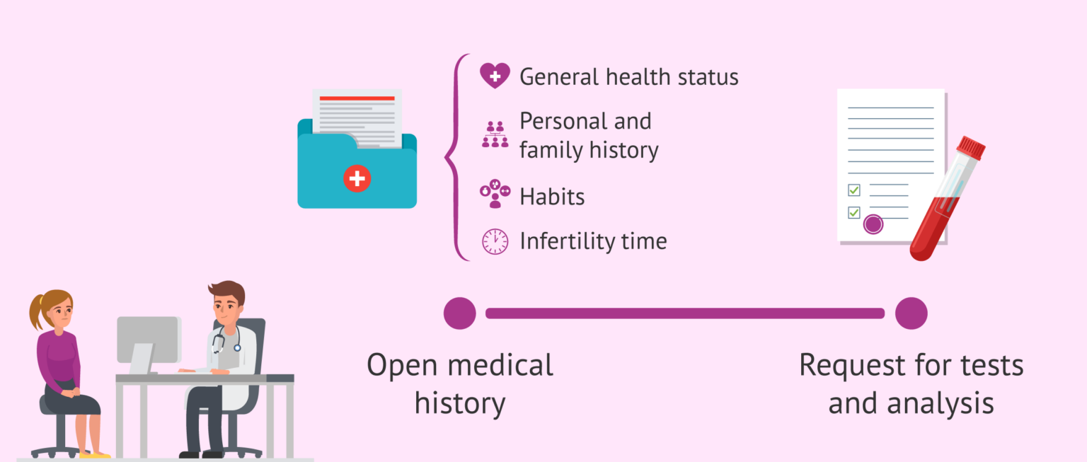 First steps of the fertility study