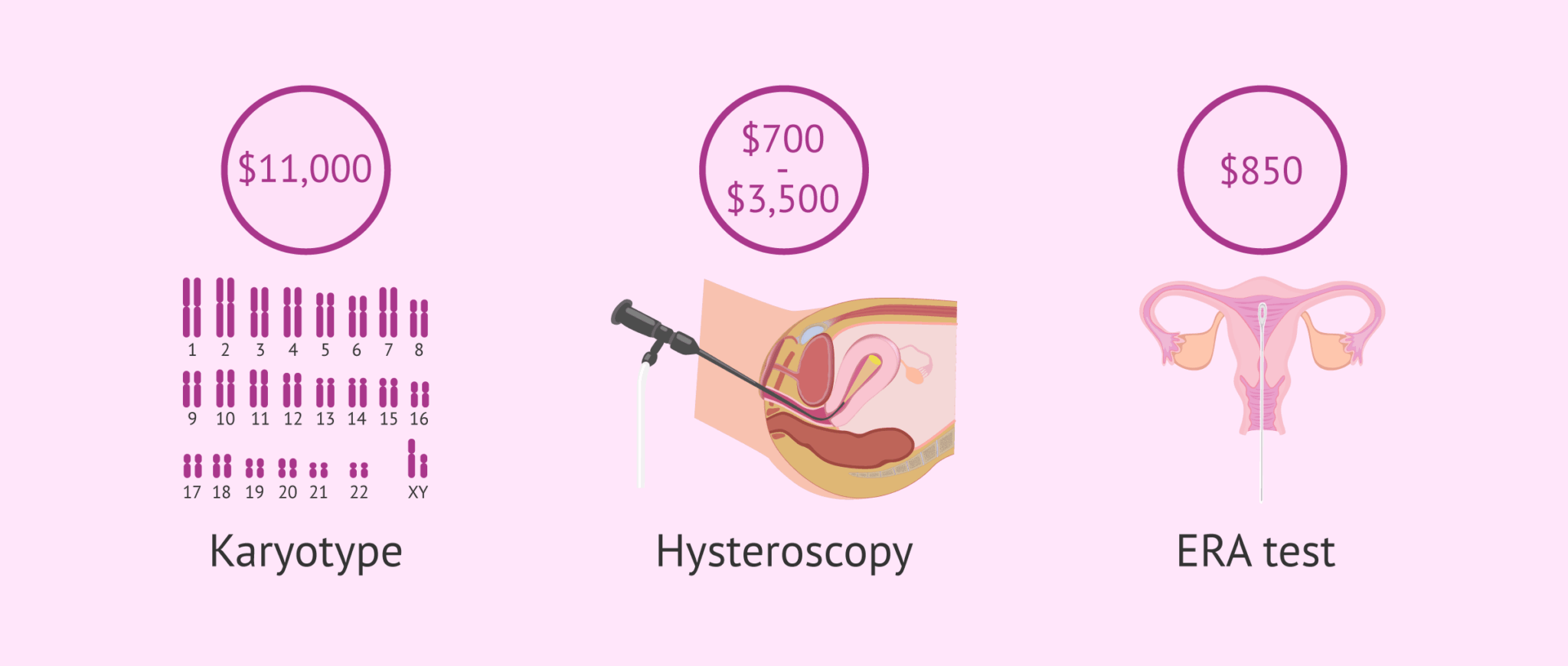 What Is the Average Cost of IVF In the USA?