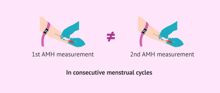 AMH variations between menstrual cycles